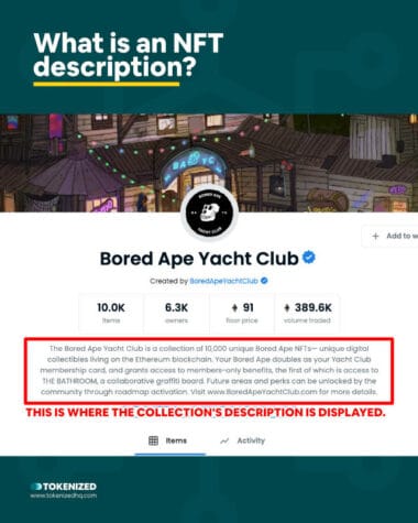 15 Perfect NFT Description Examples — Tokenized