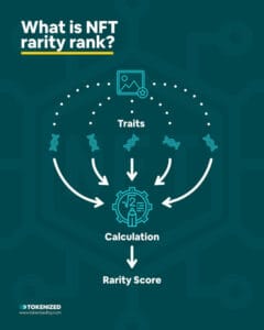 10 Rarity Tools NFT Insiders Use to Profit — Tokenized