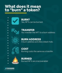 Solved: The Correct Polygon Burn Address — Tokenized