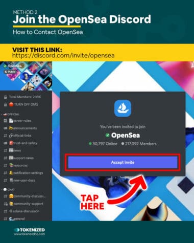 6 Ways How to Contact OpenSea Quickly — Tokenized