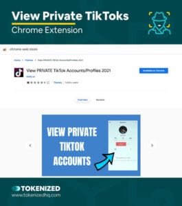 The 6 Best TikTok Private Account Viewers in 2023 — Tokenized