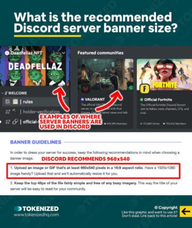 Solved: Discord Banner Size + Template — Tokenized