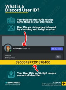 Solved: How to Copy Your Discord Profile Link the Right Way — Tokenized