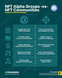 7 Elite NFT Discord Servers for Alpha Seekers — Tokenized