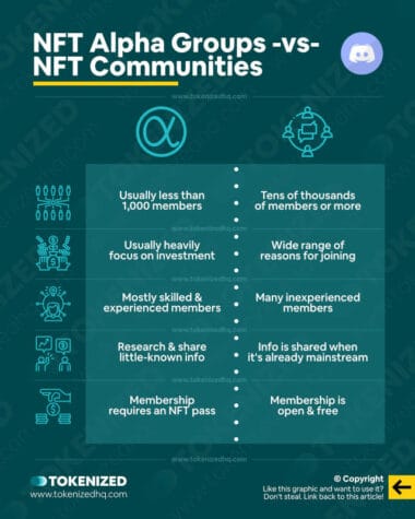 7 Elite NFT Discord Servers for Alpha Seekers — Tokenized