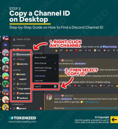 Solved: How to Get a Discord Channel ID the Right Way — Tokenized