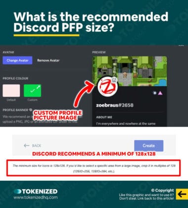 Solved: Discord PFP Size + Template — Tokenized