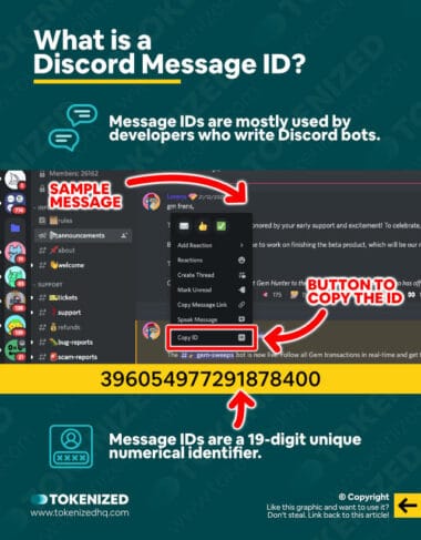 Solved: How to Copy a Discord Message ID the Right Way — Tokenized