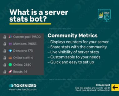The Top 5 Discord Server Stats Bots in 2023 — Tokenized